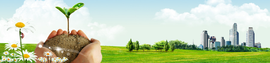 JAE IL-4S-S3L-N -T.S.FUNG ELECTRONICS CO LTD